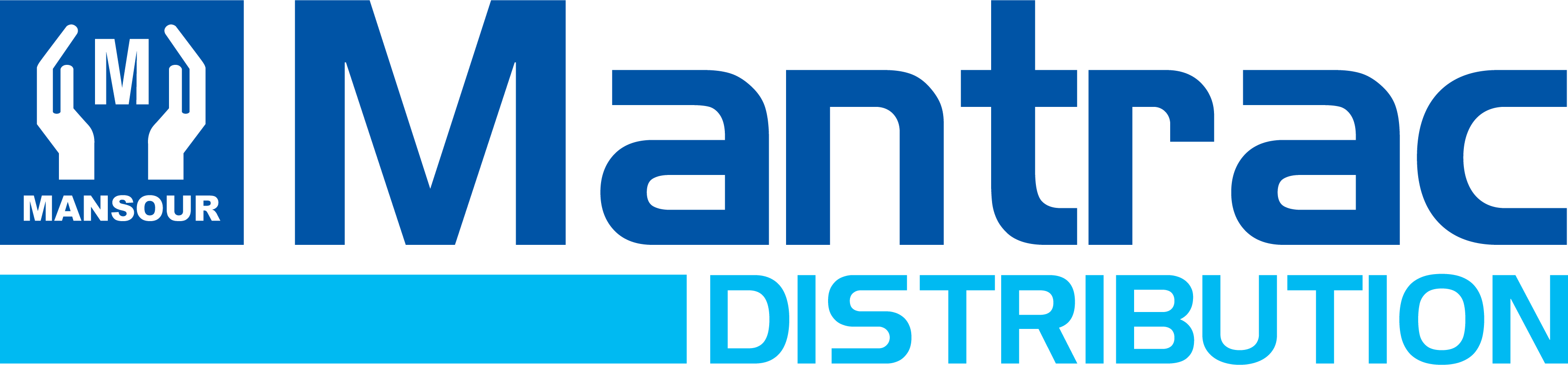 IdeaHub
